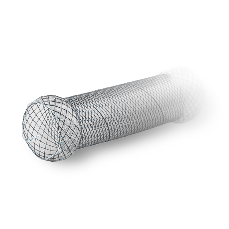 Stent Colónico y Rectal – GMRS